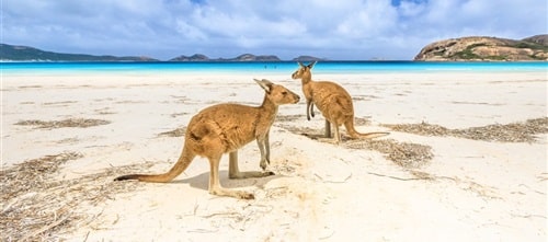 Liberty International DMC: Your One-Stop Shop for MICE in New Zealand